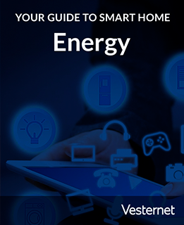 Guides – Vesternet